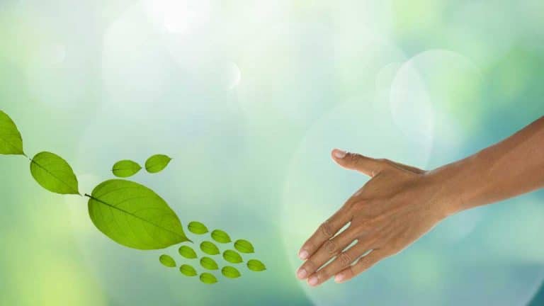 What Does Eco-Friendly Mean - Eco Friendly Fact