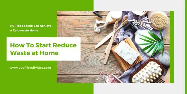 Home Zero Waste | A Full Guide on Zero Waste - Eco Friendly Fact