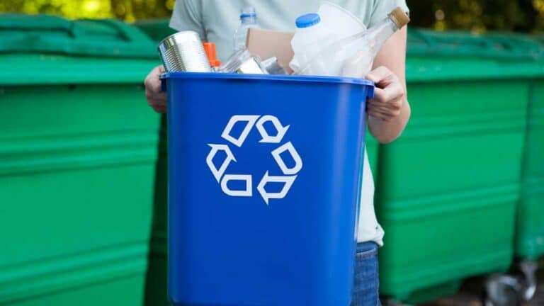 How can recycling materials lead to environmental sustainability - Eco ...