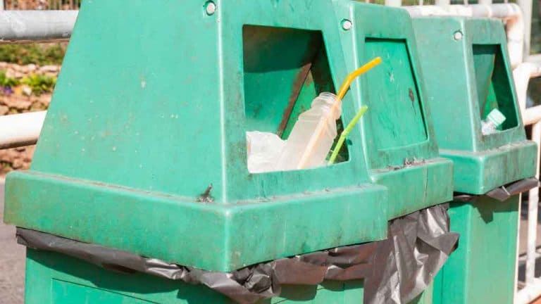 What is Scavenger Service - Eco Friendly Fact