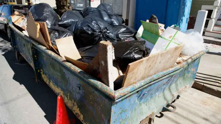 All you need to know about Dumpster diving - Eco Friendly Fact