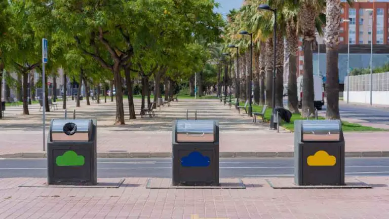 All you need to know about Dumpster diving - Eco Friendly Fact