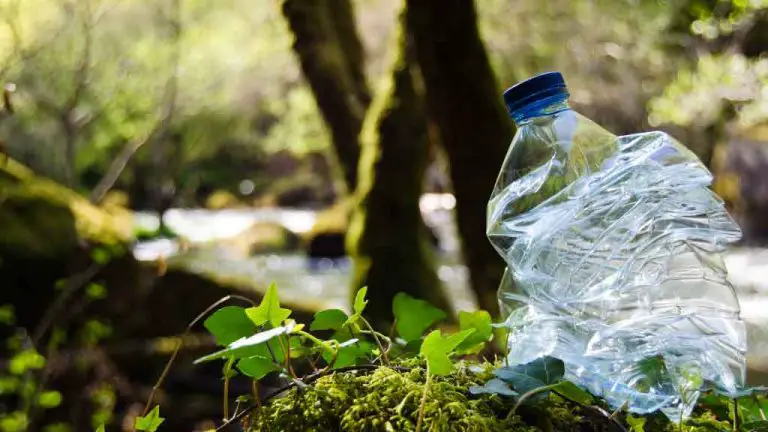 What is commingled recycling: Everything you need to know about it ...