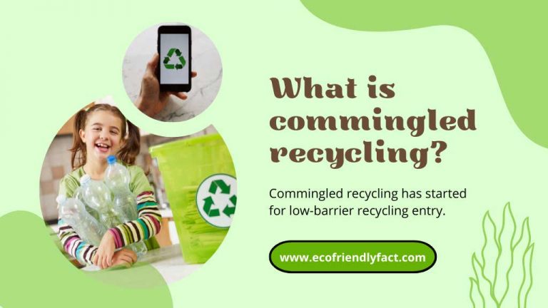 What is commingled recycling: Everything you need to know about it ...