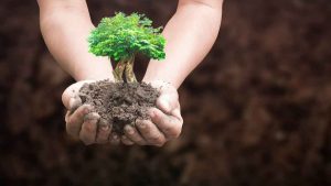 Why are sustainable land management practices important? - Eco Friendly ...