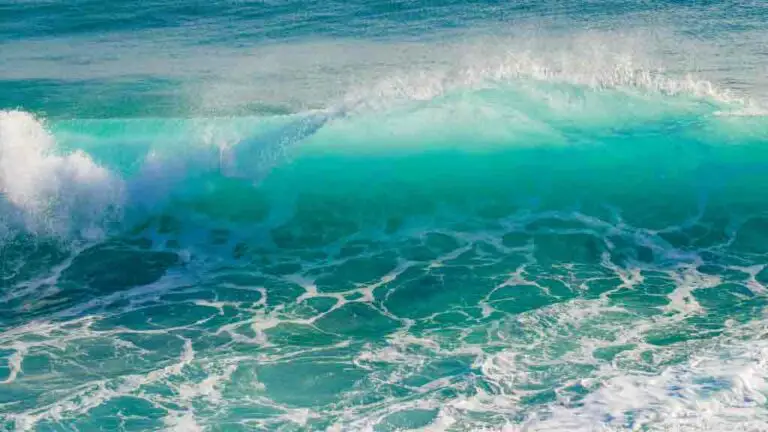 How Does Wave Energy Work? – A Quick Overview - Eco Friendly Fact