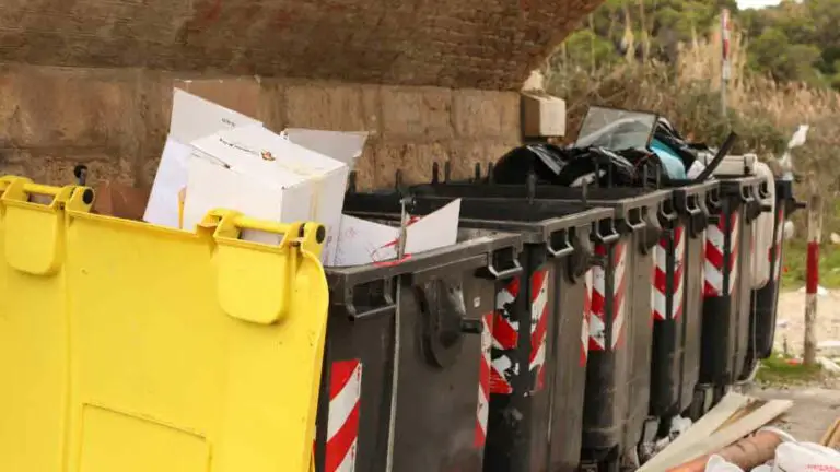 A complete guide on Dumpster Diving Tips that you never knew before ...