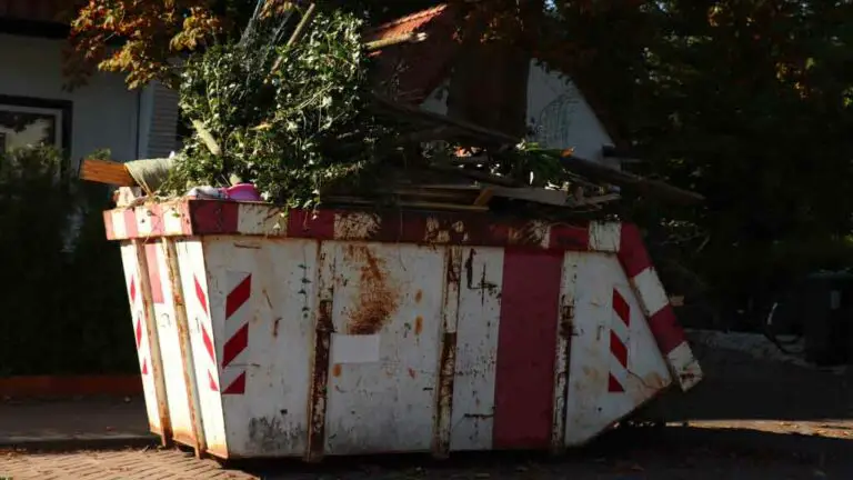 Dumpster diving at Dollar General: Everything You Need to Know! - Eco ...