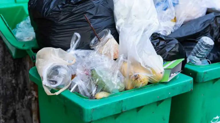 Is it illegal to leave your garbage cans out? - Eco Friendly Fact